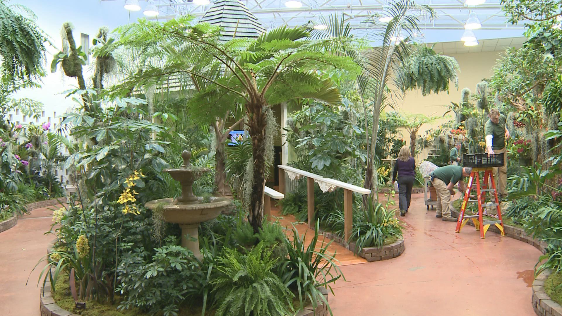 Inside one of the worlds largest orchid collections | ksdk.com
