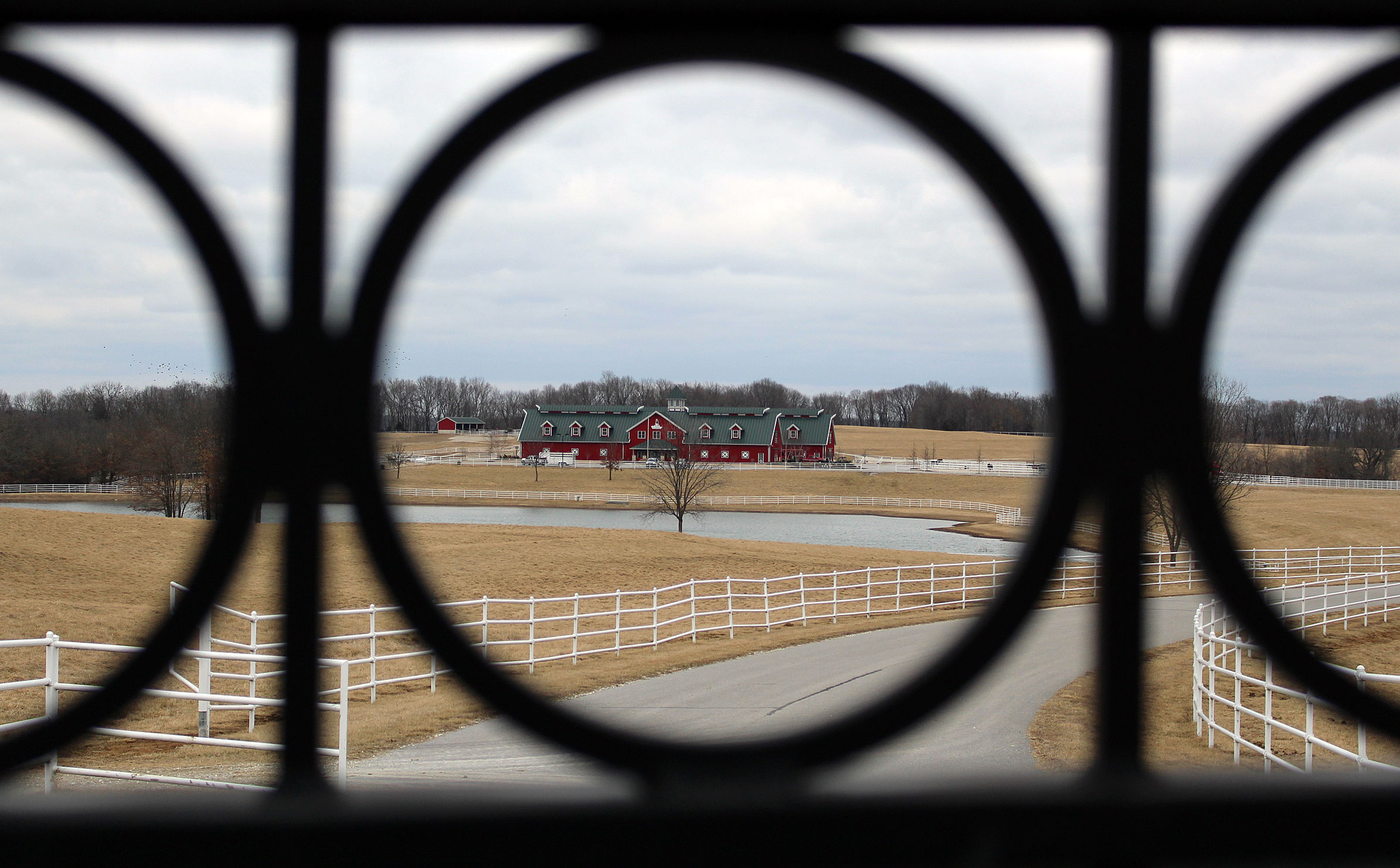 Warm Springs Ranch, home of the Budweiser Clydesdales | khou.com