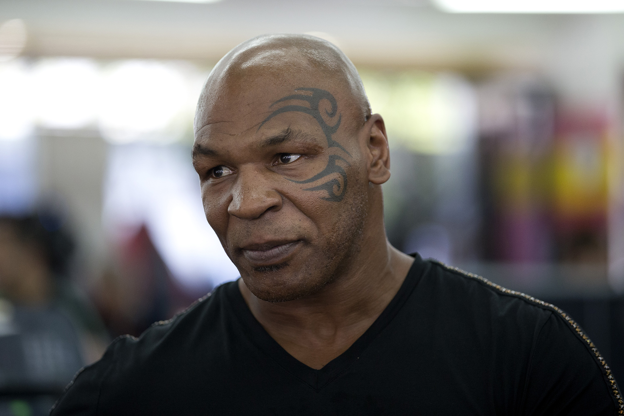 Mike Tyson breaks ground on California marijuana ranch | whas11.com
