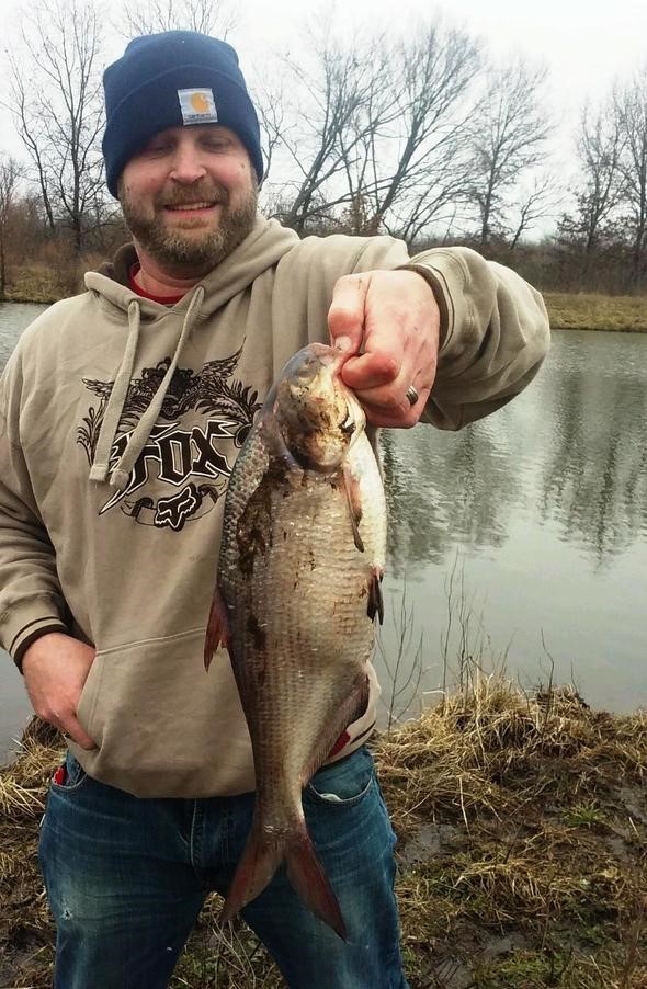 Record breaking gizzard shad caught by fisherman | ksdk.com