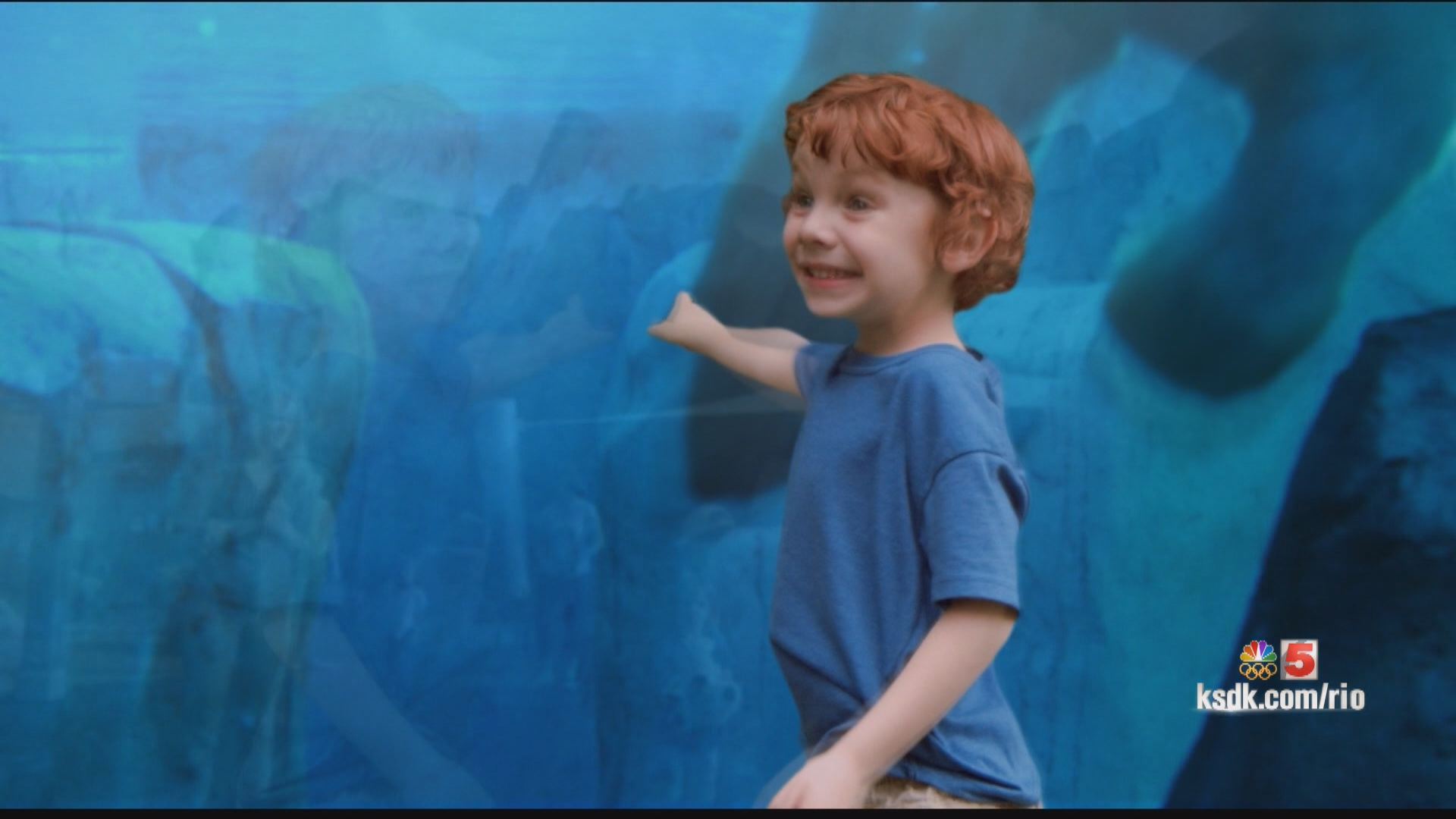 Hey Heidi: Who produces the cute St. Louis Zoo commercials? | ksdk.com