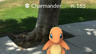 Pokémon Go addiction leads to safety concerns | ksdk.com