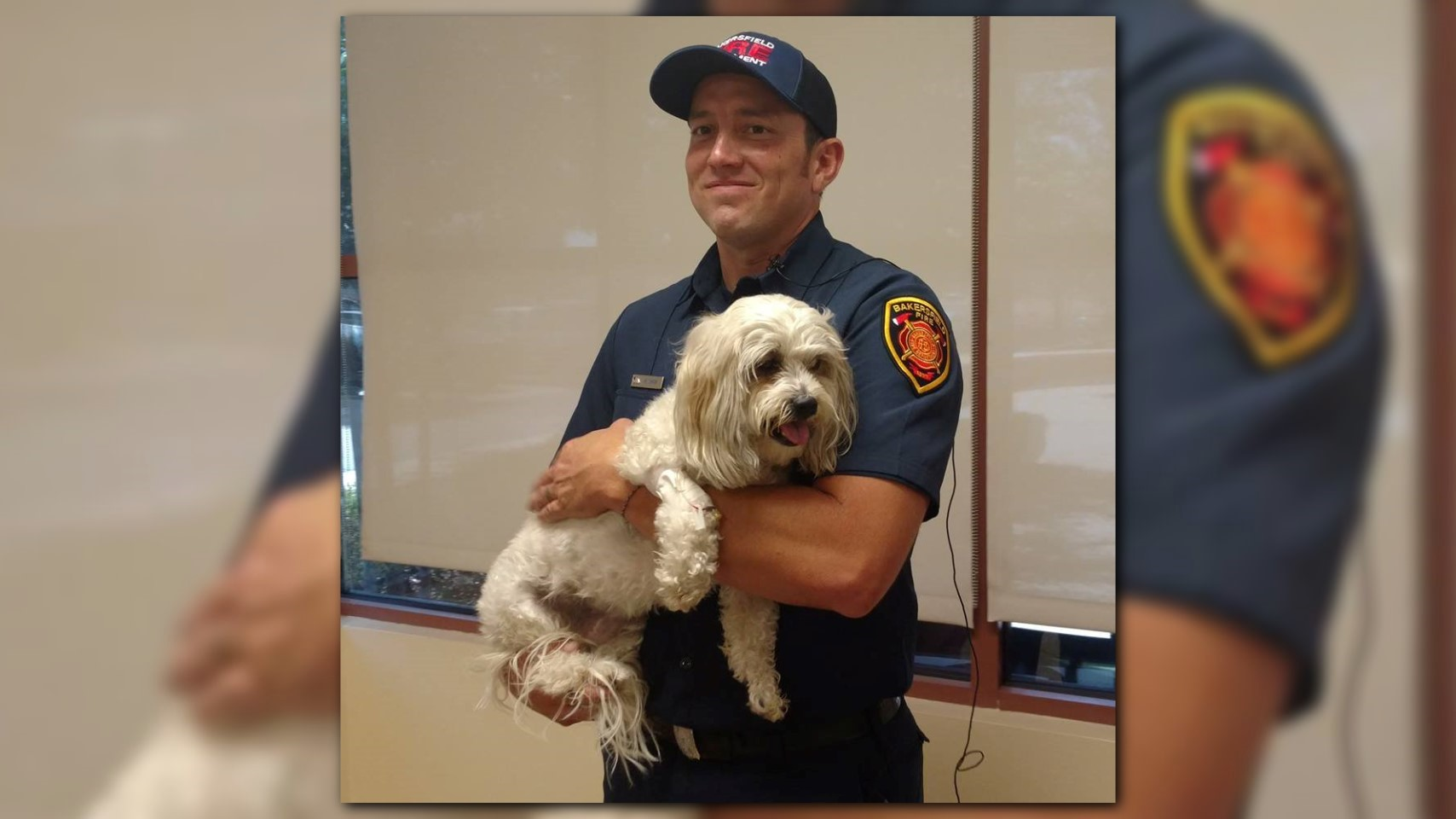 California firefighters bring nearly dead dog back to life | ksdk.com