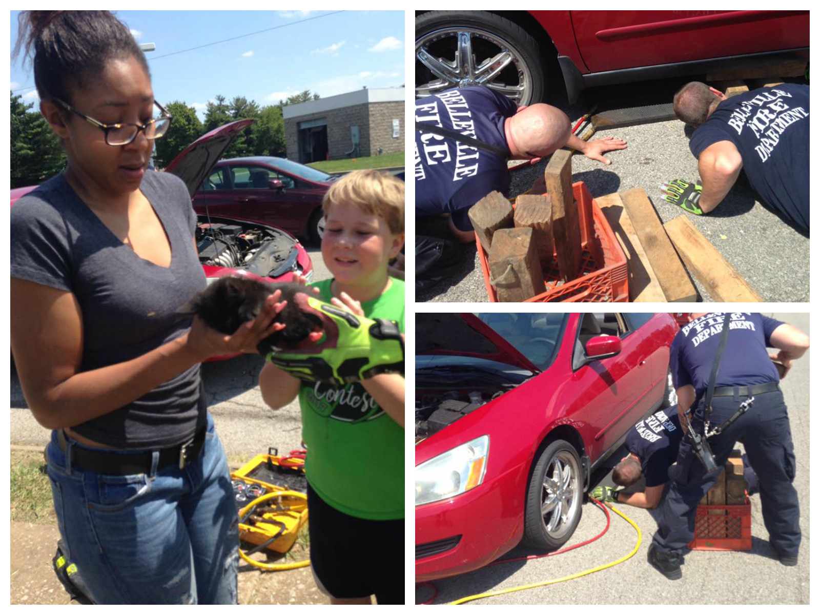 Looks like the Rally Cat isn't the only cat running through the ...