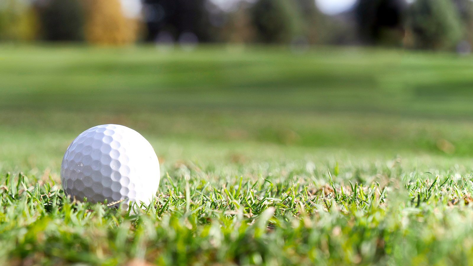 Tower Tee Complex set to close July 1, 2018 | ksdk.com